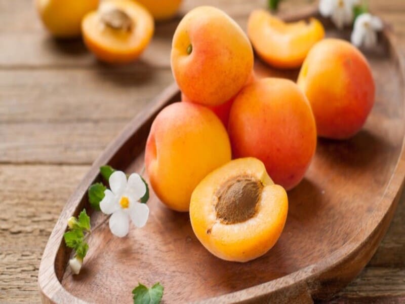 Jak se vypořádat s moniliózou na meruňce?